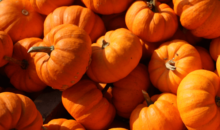 HR’s Guide to Halloween at Work - Namely