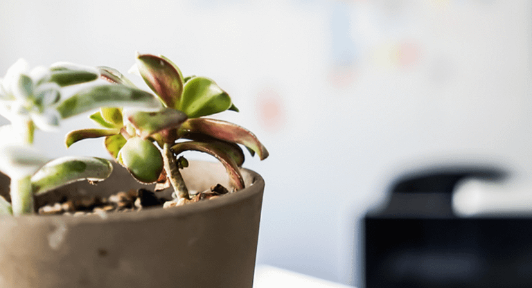 10 Office Design Ideas to Increase Employee Engagement - Namely