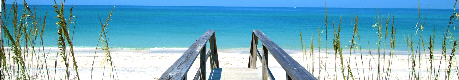 PEO Services in Florida | VensureHR